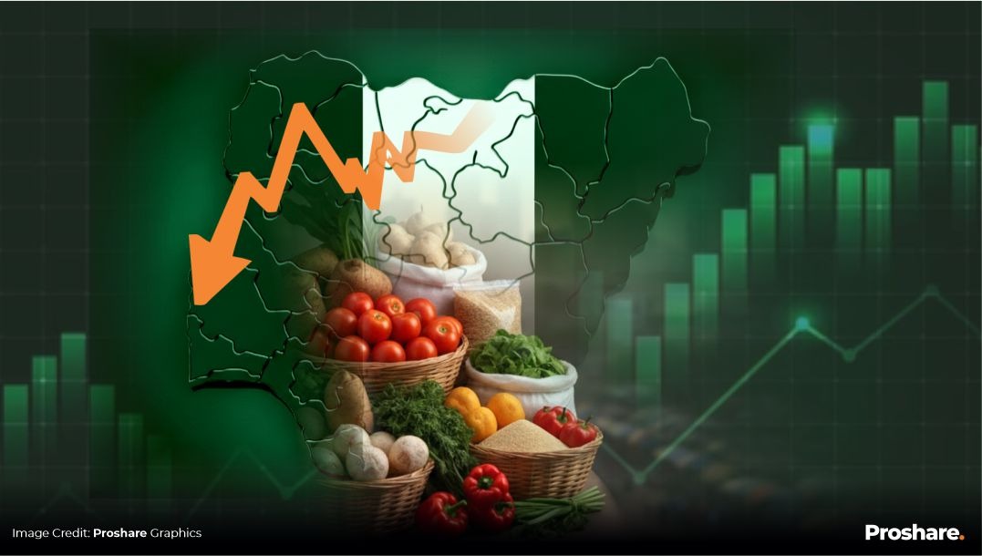 Nigeria’s Inflation Eases to 15.15% in December 2025 Based on Revised ...