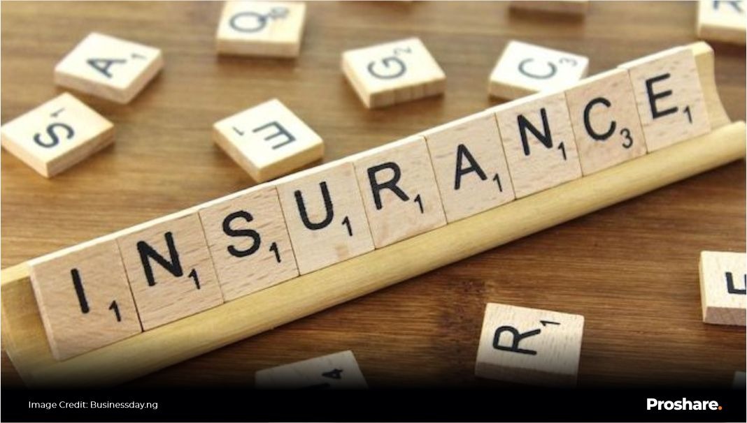 Possibility of Making Every Nigerian Insurable in Two Years - Proshare