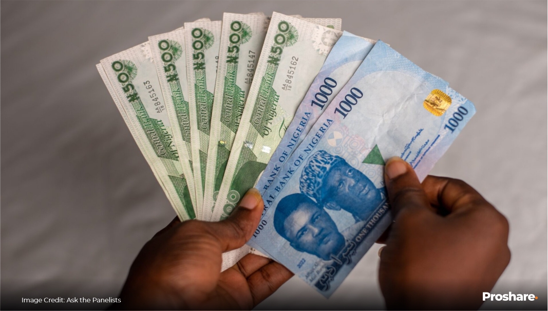 Redesigned Naira Notes JUST IN: CBN Sets To Redesign Currency Notes